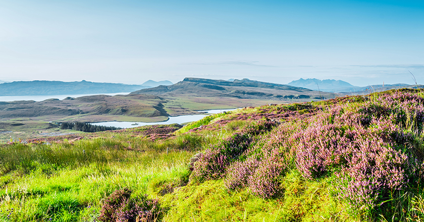 Land Reform Bill - What is the current status? - Gillespie Macandrew